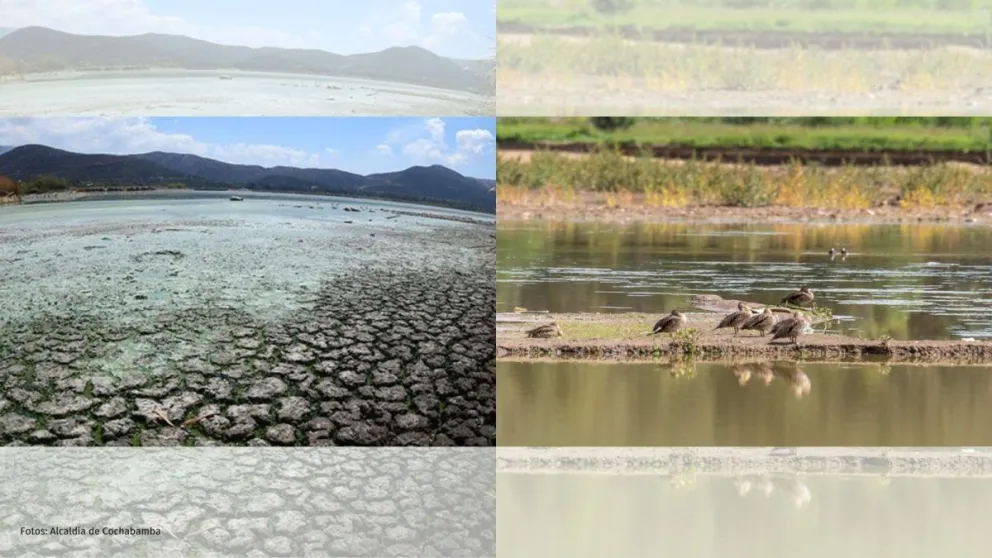 Con 28 especies de aves y agua cristalina, la laguna Alalay "vuelve" a ...