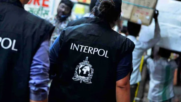 Los sellos de Interpol: ¿Qué son, cuántos son y para qué sirven ...