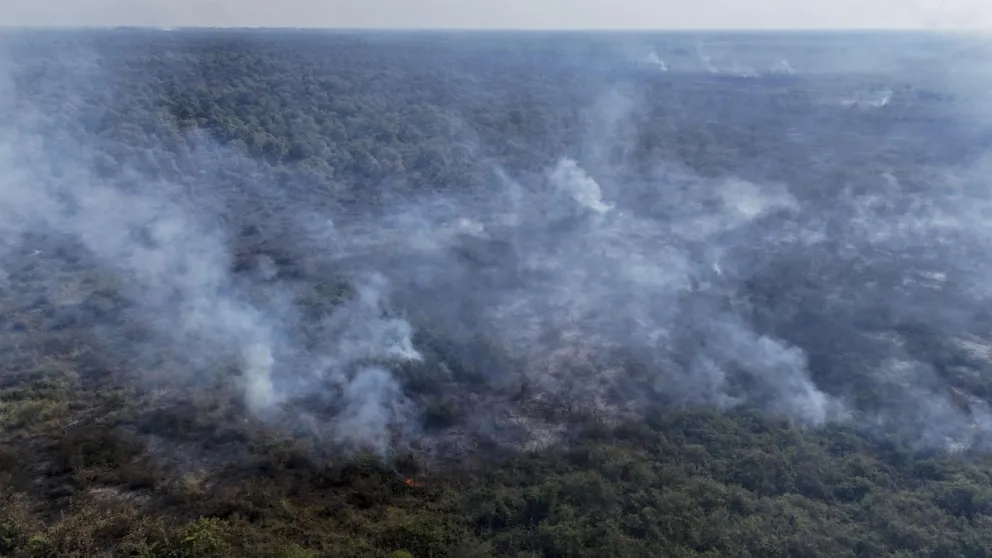 El humo de decenas de incendios en la Amazonía llega hasta el sur de ...
