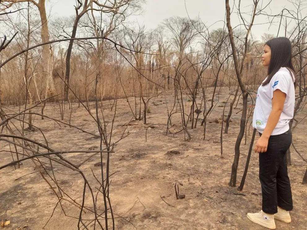 Incendios forestales y cambio climático agravan la violencia en las ...