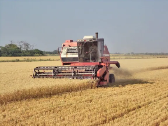 Exención del IVA en bienes de capital y plantas industriales tendrá un ...