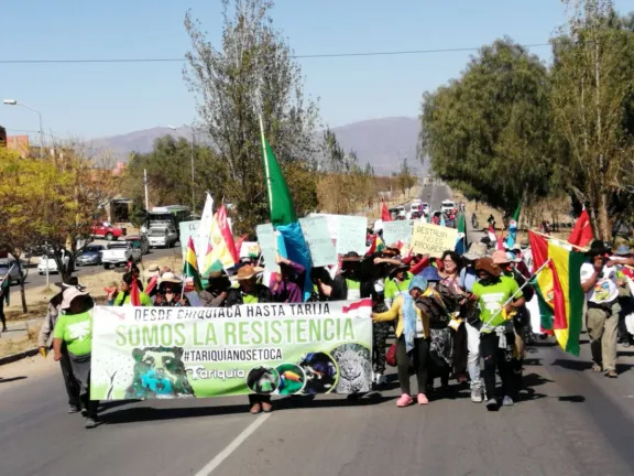 CIDH recibe en audiencia a 29 defensores de la reserva Tariquía ...