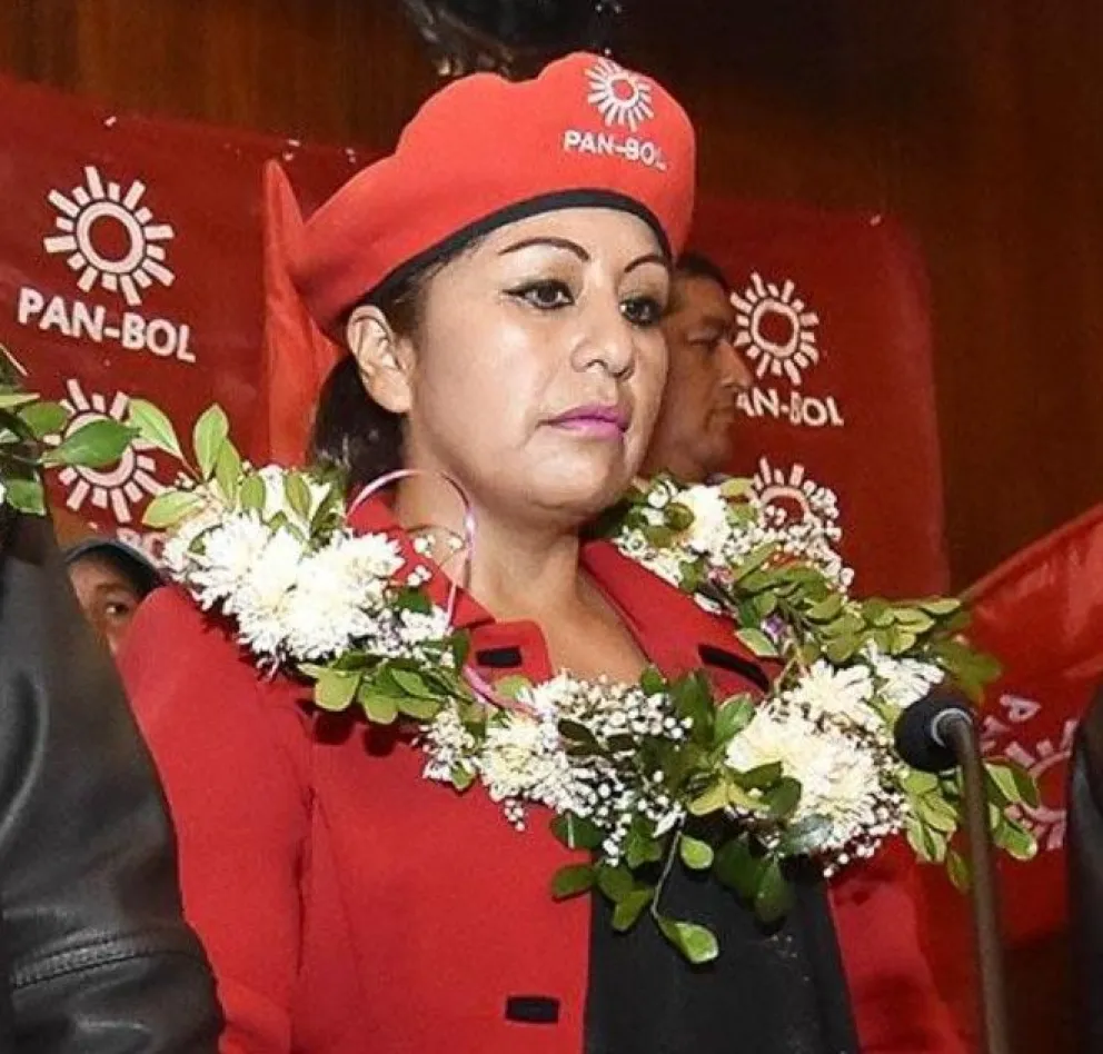 Tribunal de Justicia de La Paz admite amparo a favor de PAN-BOL: “Es ...