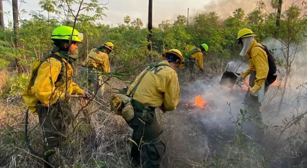 Sofocan incendio en zona de frontera de Paraguay y Bolivia que arrasó ...